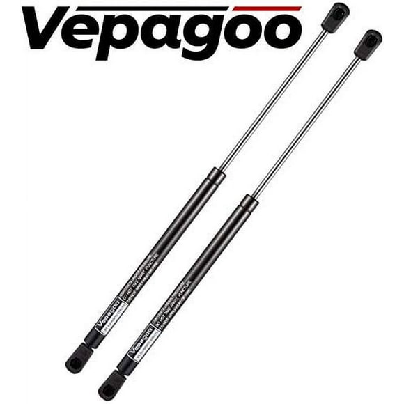 Leer Canopy Gas Struts