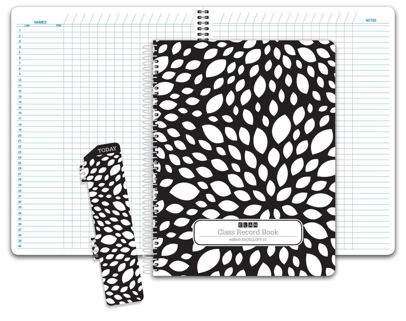 Class Record Book Unstructured...set it up to record grades your way ...