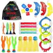Duck Pool Toy