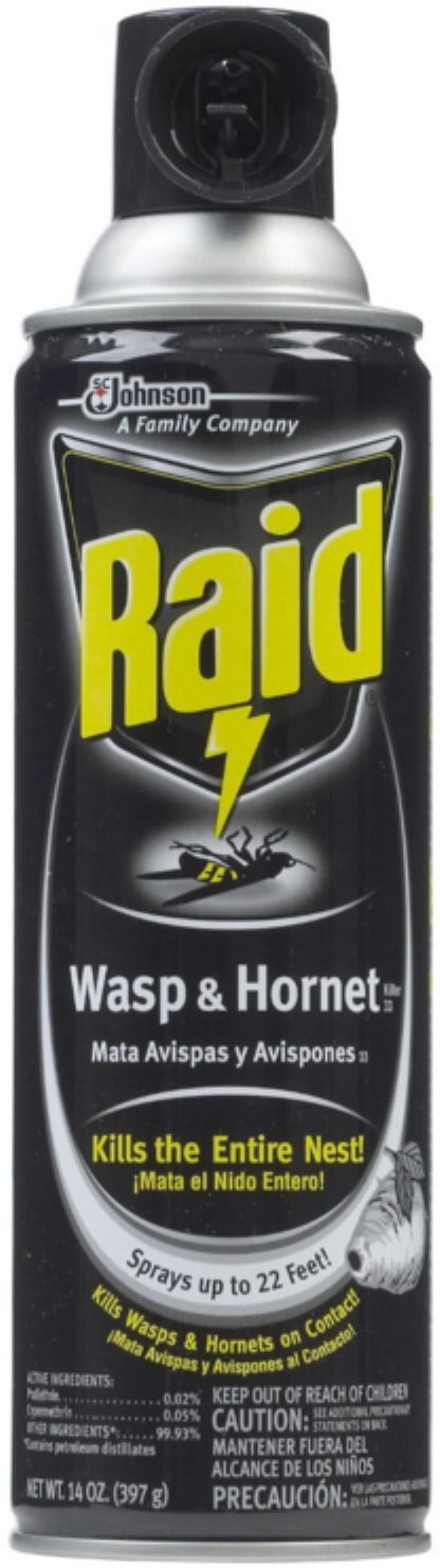 Raid Wasp & Hornet Killer Spray 14 oz - Walmart.com