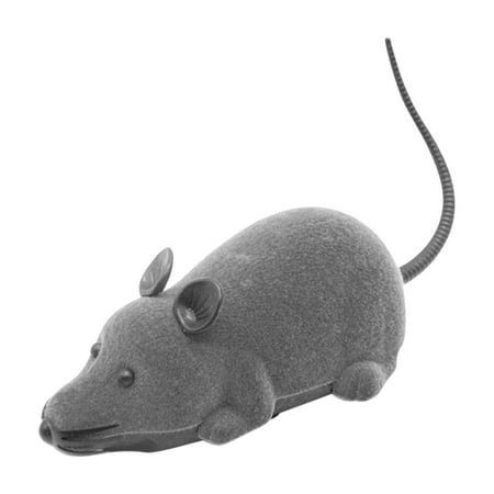 Flywake Christmas Gifts For Kids,Adult Pet Toy Remote Control Electric ...