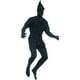 Halloween Shadow Adult Costume - Walmart.com
