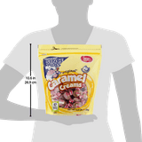 Goetze's Vanilla Creamy Filled Flavored Classic Caramel Creams Candy ...