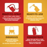 Spectracide Triazicide 32 Fl. Oz. Insecticide: Garden Treatment for ...