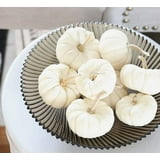 Baby Boo Pumpkin Seeds for Planting (10 Seeds) - Grow Little White ...