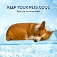 Pawolaf Dog Cooling Mat,Washable Portable Coolings Pad for Pet Dogs ...