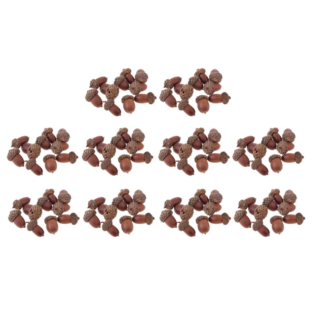 Click here for Shangren Lots 100 Real Acorn Premium Rubber Chestn... prices