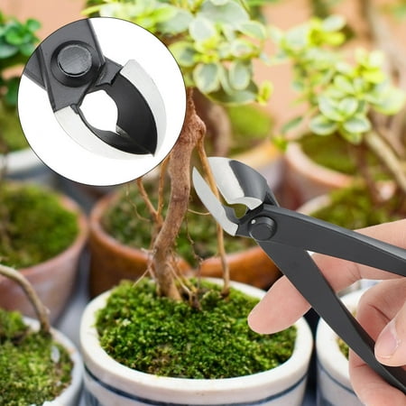 Potted Landscape Modeling Too Garden Shear, Branch Cutter, Bonsai ...