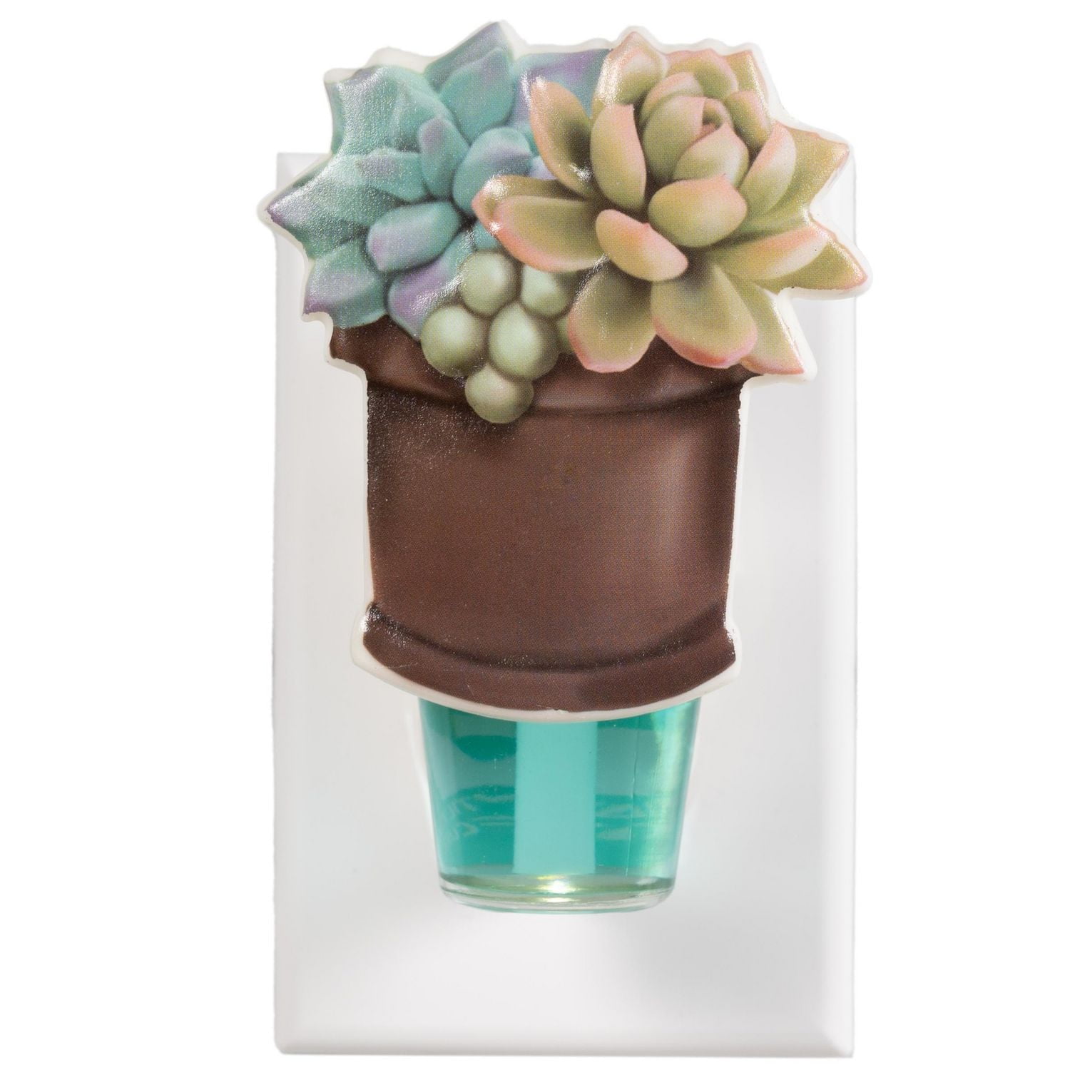 Click here for Scentsationals Scentcharm Diffuser - Succulent prices