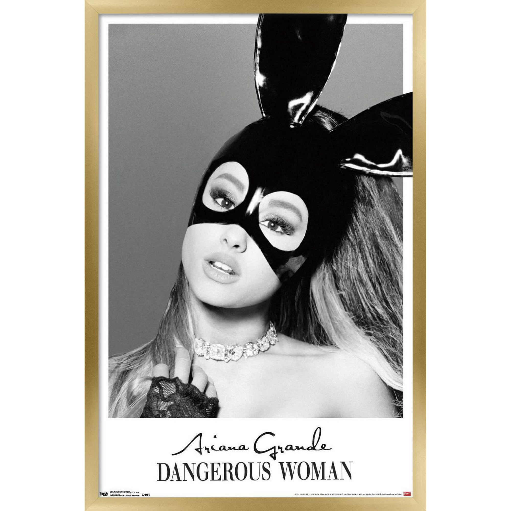 Click here for Trends International Ariana Grande - Dangerous Wal... prices