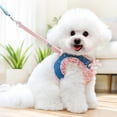 AOOOWER Small Dog Harness Training Vest Size No Pull Design with Leash ...