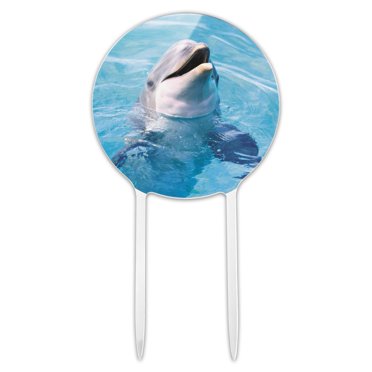 Acrylic Total Solar Eclipse Painted Cake Topper Party Decoration for ...