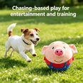 BESTSKY 2026 New Interactive Dog Ball,Dog Chasing Ball Moving Dog Toy ...