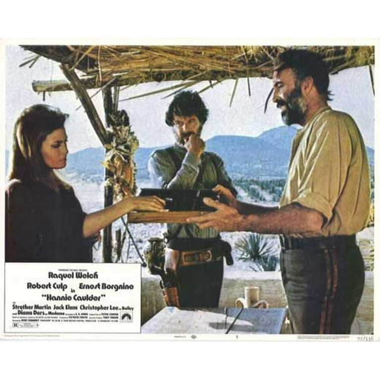 Hannie Caulder Poster