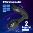 Erotica Heart Swing Anal Plug Wireless Remote Control 9 Frequency Vibration Swing Men And Women 9695