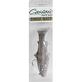 Castaic Boot Tail Freshwater Fishing Swim Bait, Rainbow Trout, 4", Soft ...