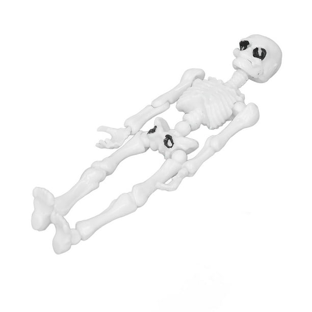 Human Skeleton Model,Human Skeleton Model Simulation Full Body Skeleton ...