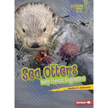 Summertime Sleepers: Animals That Estivate, (Hardcover) - Walmart.com