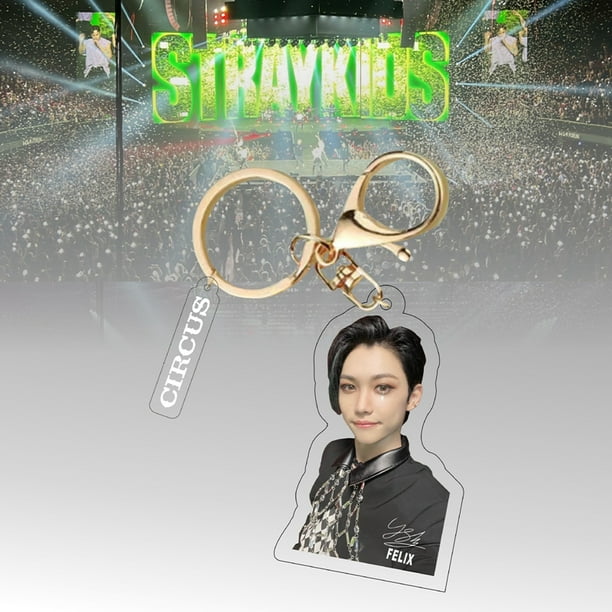 DraggmePartty KPOP Stray Kids Acrylic Keychian CIRCUS Album Keyring ...