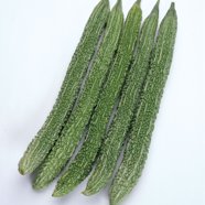 Gourd Seeds - Nam Tao Ngam - India Type - Hybrid - 3 g Packet ~15 Seeds ...