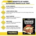 Snake Glue Trap, Super Sized for Snakes, Rats, Mice and Insects (2-Pack ...
