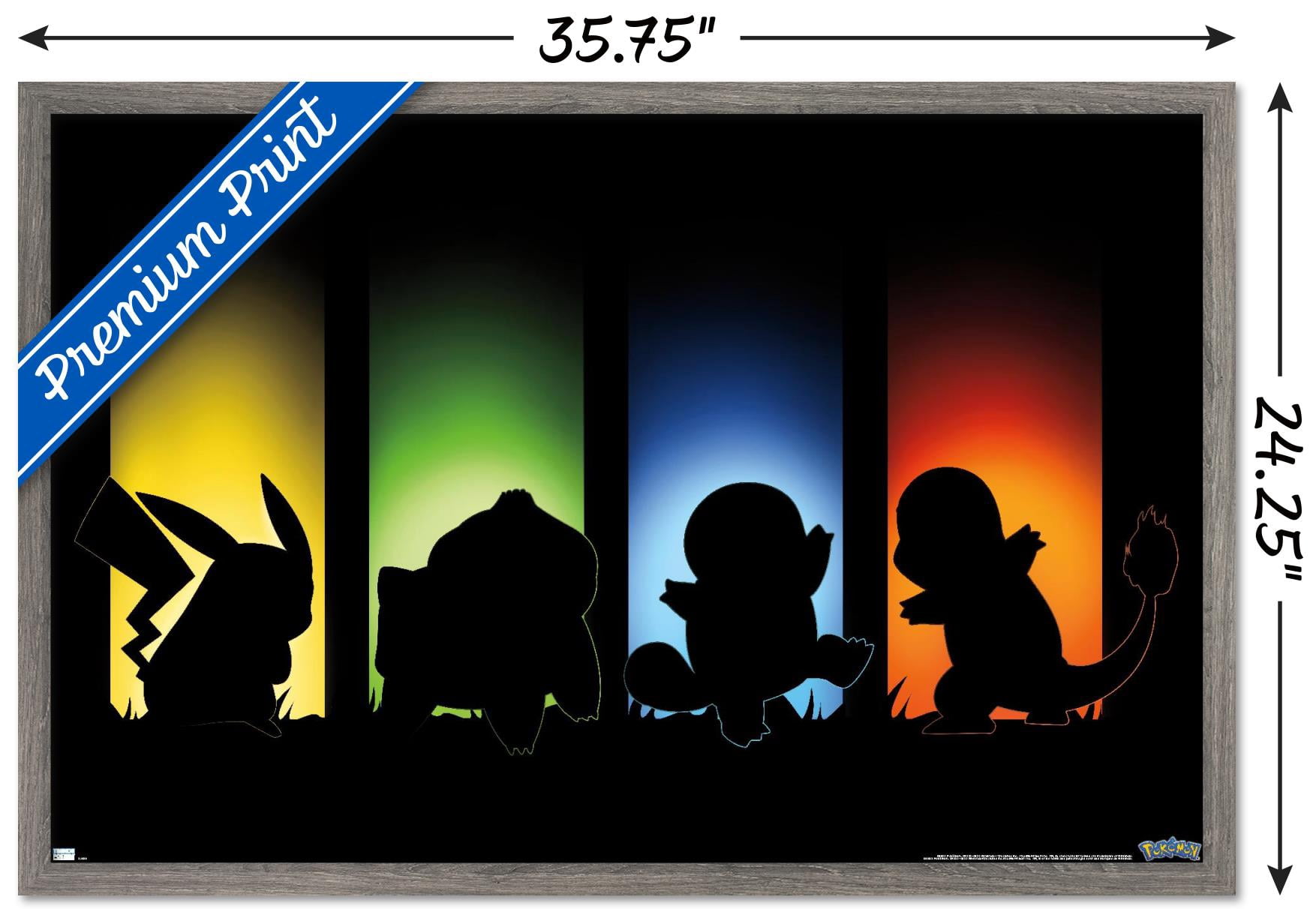 Real Shadow Pikachu