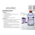 Antioxidant Solutions 100% Blueberry Juice Not from Concentrate, 32 fl ...