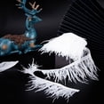 1 Bag 2 Yards Fashion Ostrich Feather Cloth Strand Costume Accessories ...