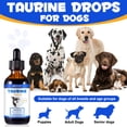 Oimmal Taurine Drops for Dogs, 2 fl oz (60 ml), Liquid Amino Acid ...