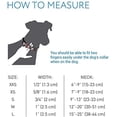 RC Pets 5/8 Inch Adjustable Dog Clip Collar, X-Small, Marrakesh ...