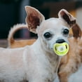 QenASHaing Butterfly Pet Pacifier with Cover, Safe Silicone Chew Toy ...