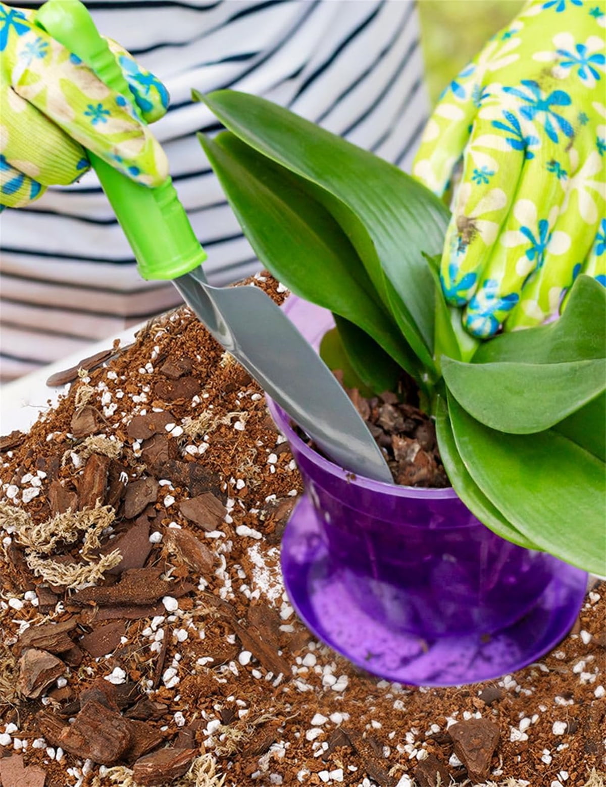 Indoor Plant Soil Orchid Focus Repotting Mix 8L - Growth Technology ...