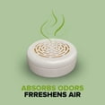 Citrus Magic Bamboo Rainforest Air Freshener, Odor Absorbing Solid, 8 ...
