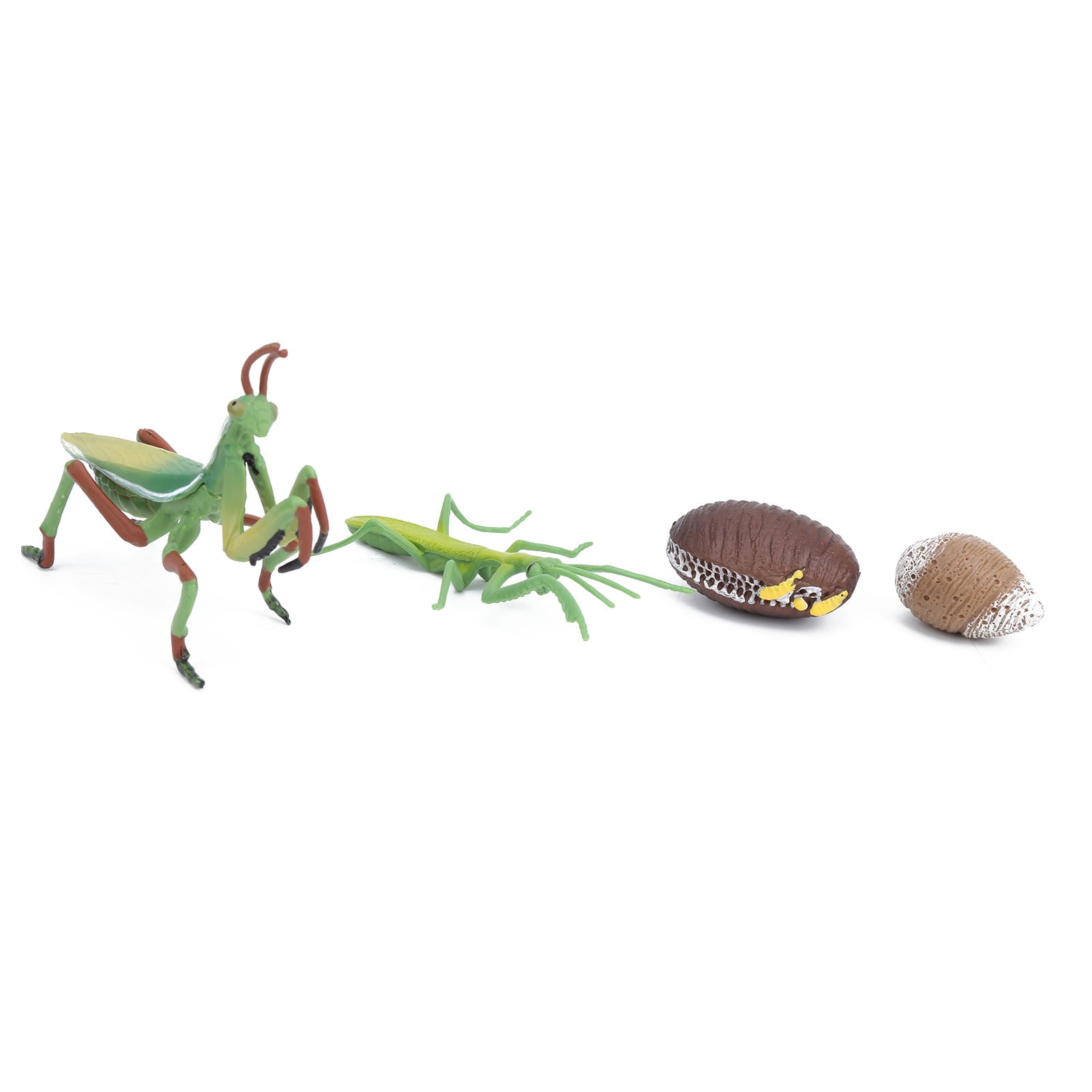 Click here for Ymiko Educational Insects Toy  Growth Cycle Insect... prices