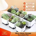 CaraMart Plastic Self Watering Succulent Containers Contemporary Style ...