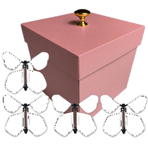 Flying Butterfly Gift Box