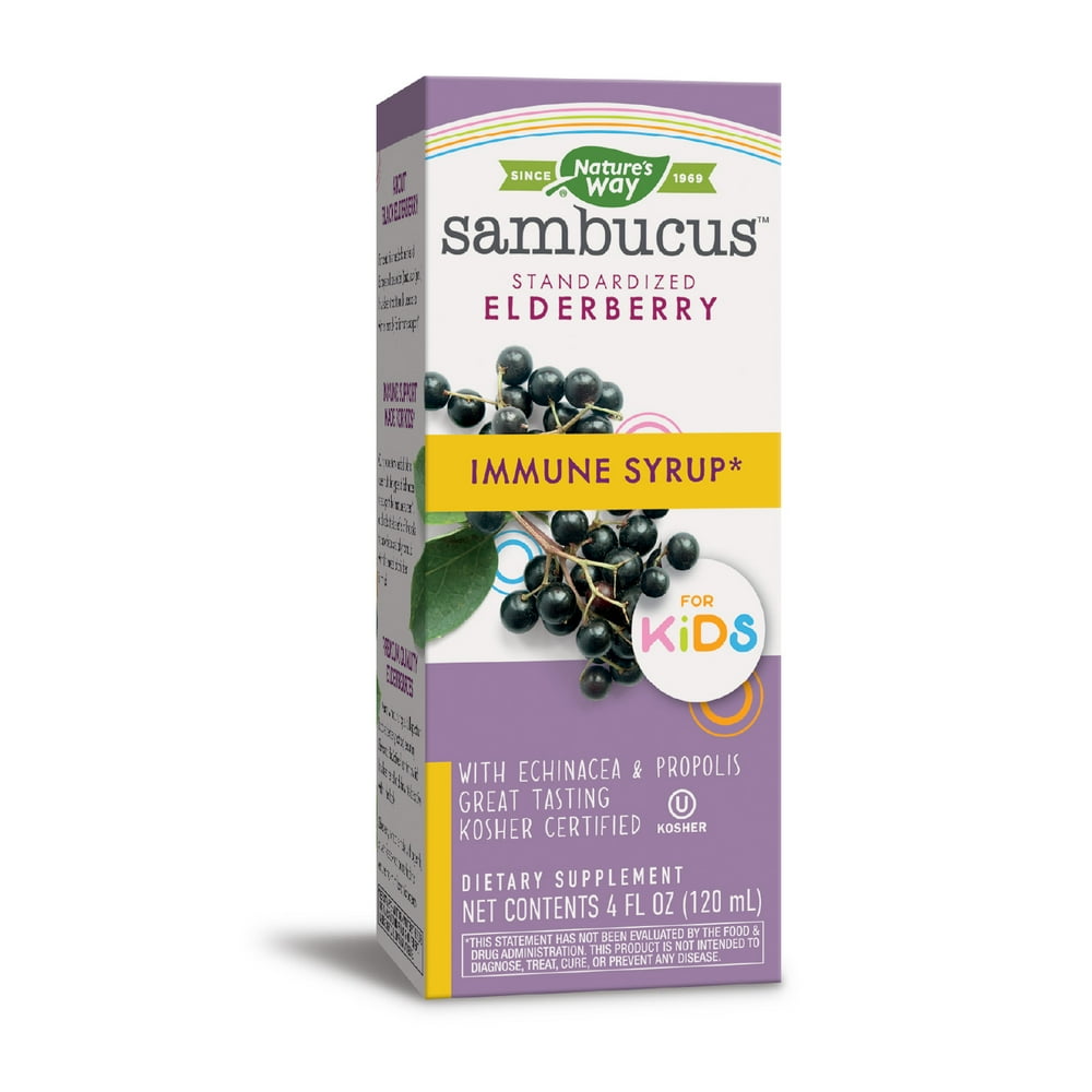 Sambucus Immune Syrup for Kids, Standardized Elderberry Syrup, 4 Oz ...
