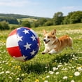 24 Inch Star Pattern Inflatable Dog Play Ball, Large Independence Day ...