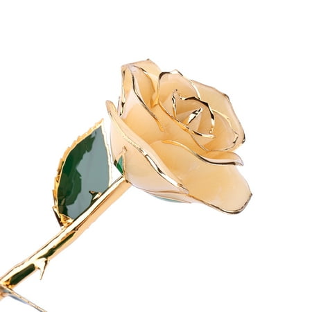 Gold-Plated Rose, Natural Artificial Rose Flower Artificial Forever ...