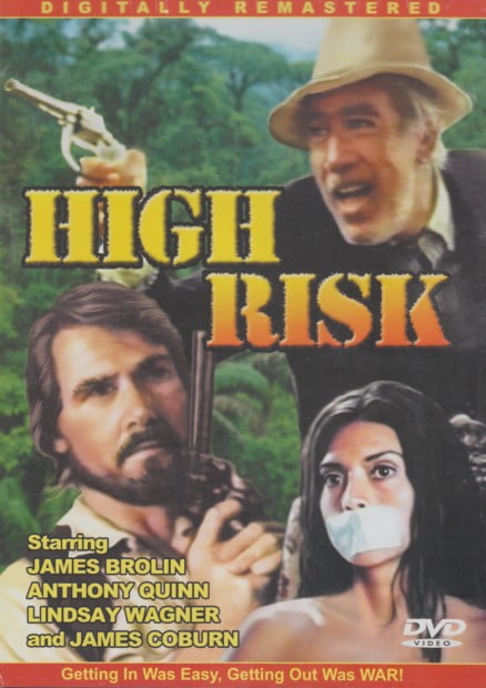 High Risk (1981/ Digiview Entertainment) - Walmart.com