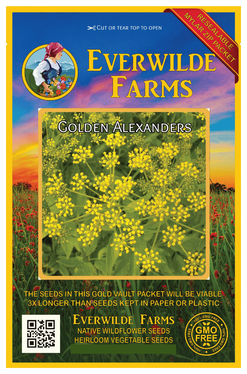 Everwilde Farms - 500 Golden Alexanders Native Wildflower Seeds - Gold ...