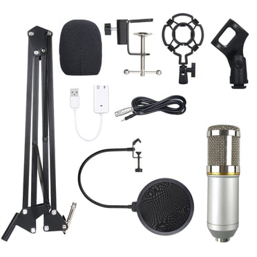 Tascam TM-80 Large Diaphagm Condenser Microphone - Walmart.com