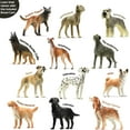 Stargo Toy Mini Dog Figurines Set - 12 Realistic Pet Figures, Non-Toxic ...