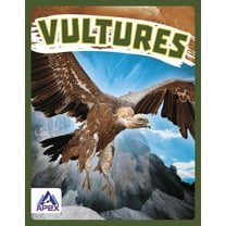 Little Hoo Goes to School (Hardcover) - Walmart.com