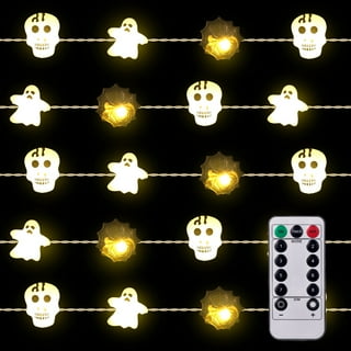 Light Controller, Sloan LED, LiquaLED Control 40, 12v, 40 POL - Walmart.com