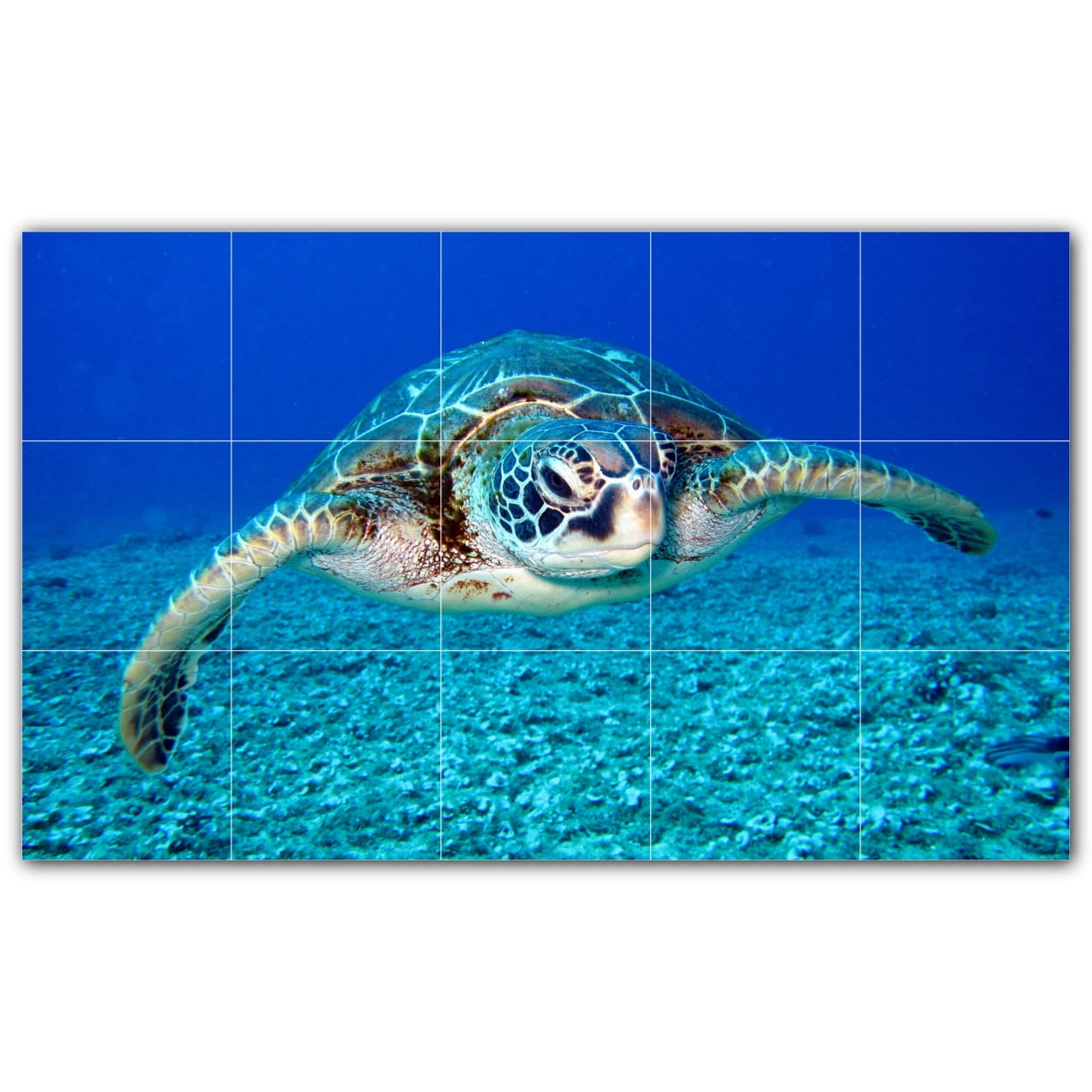 Picture-Tiles.com: Turtle Ceramic Tile Wall Mural WAL501075-53M. 30"W x ...