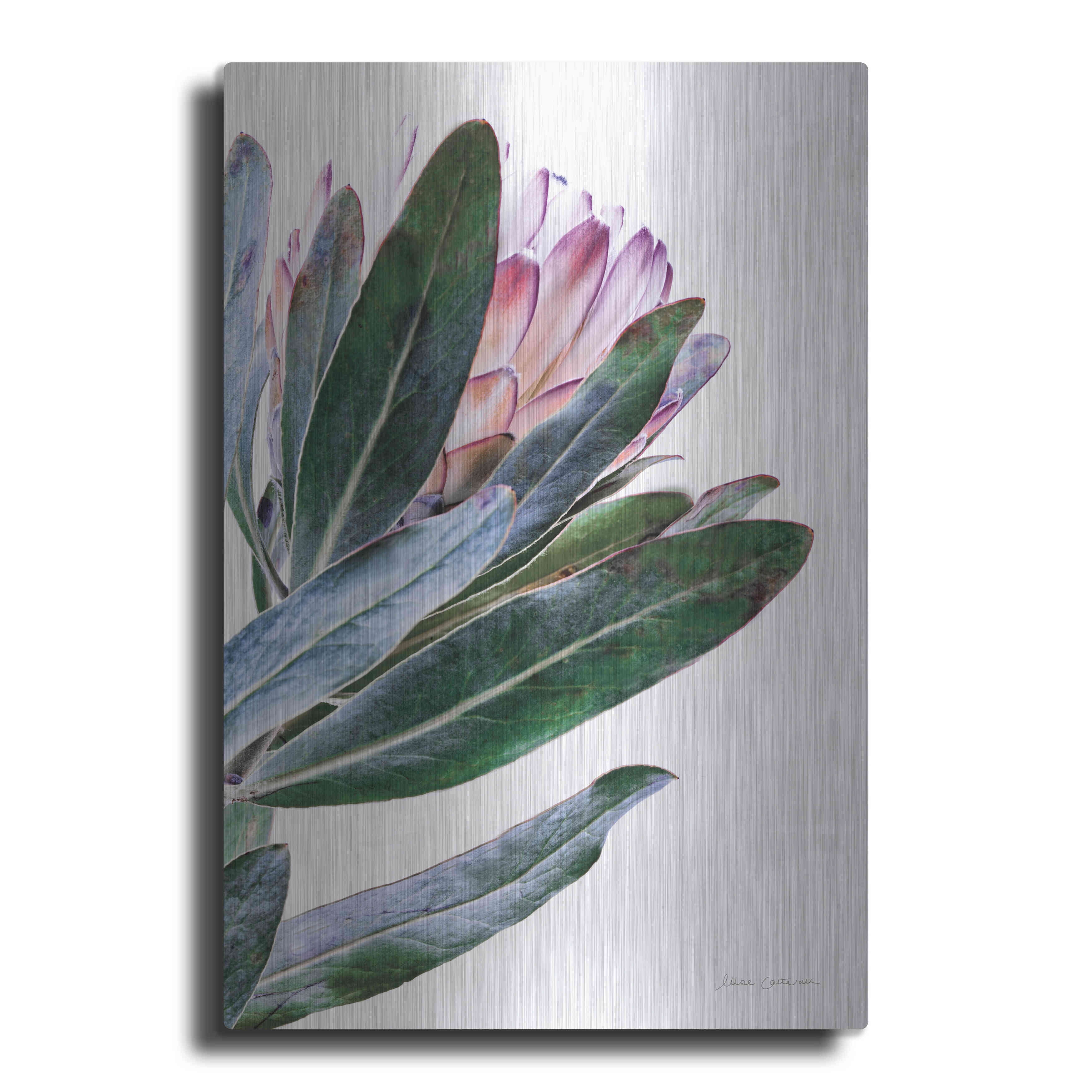 Luxe Metal Art 'Protea in Leaf' by Elise Catterall, Metal Wall Art, 16 ...