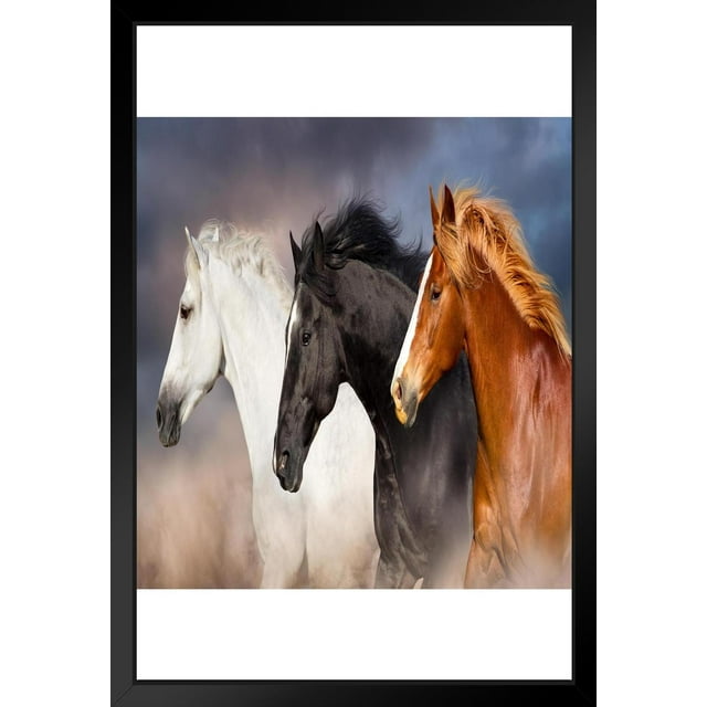 Horses Racing Portrait Stallion Mare Wild Horses Decor Galloping Horses ...
