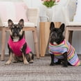 Gap Pet, Dog and Cat Clothes, Striped Gap Dog Dress, Multi-Color, S ...