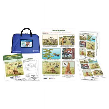 Tabernacle Model Kit - Teaching and learning resource - Old testament ...